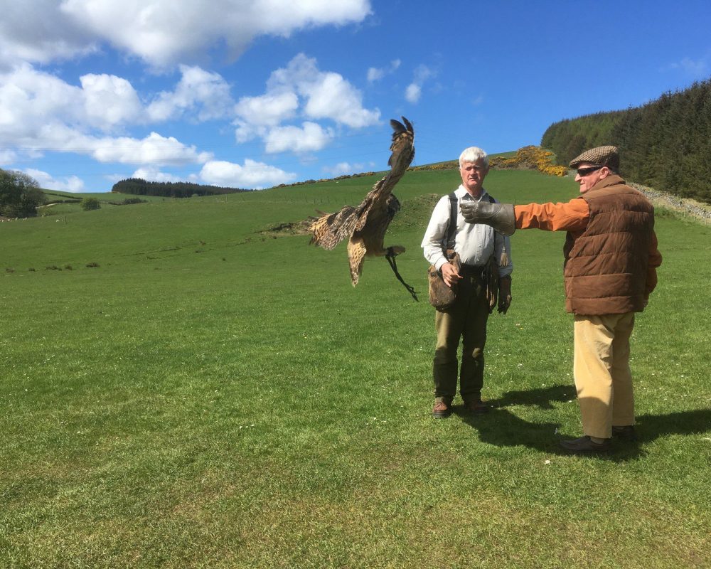 Huntly Falconry Centre Tours Scotland - Duncans Tours Scotland